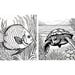 Printable Sea Life & Beach-themed Colouring Pages, Ocean Animals ...