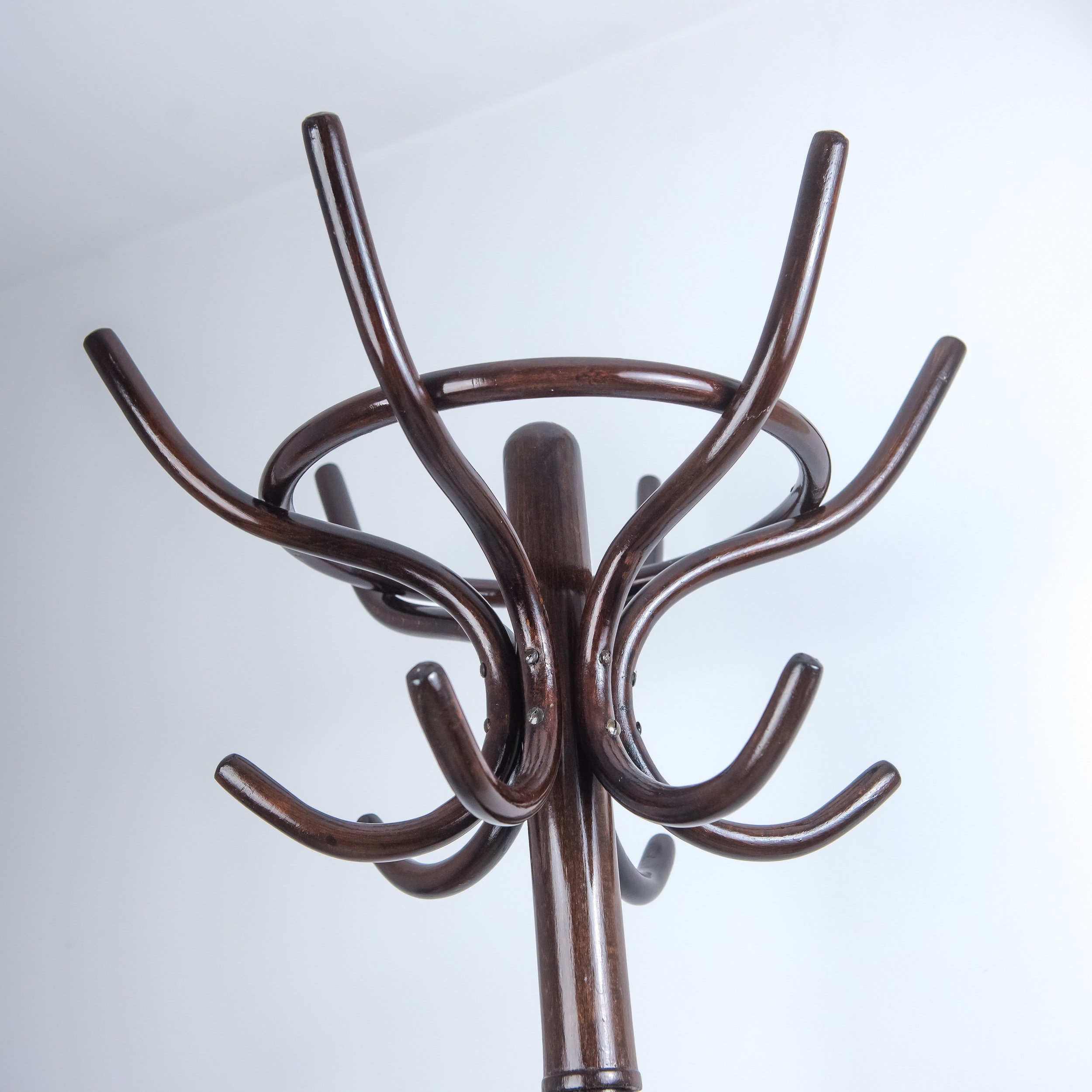 Antique Thonet Coat Rack/ Bentwood Wall Hooks/ Vintage Bent Wood Coat ...