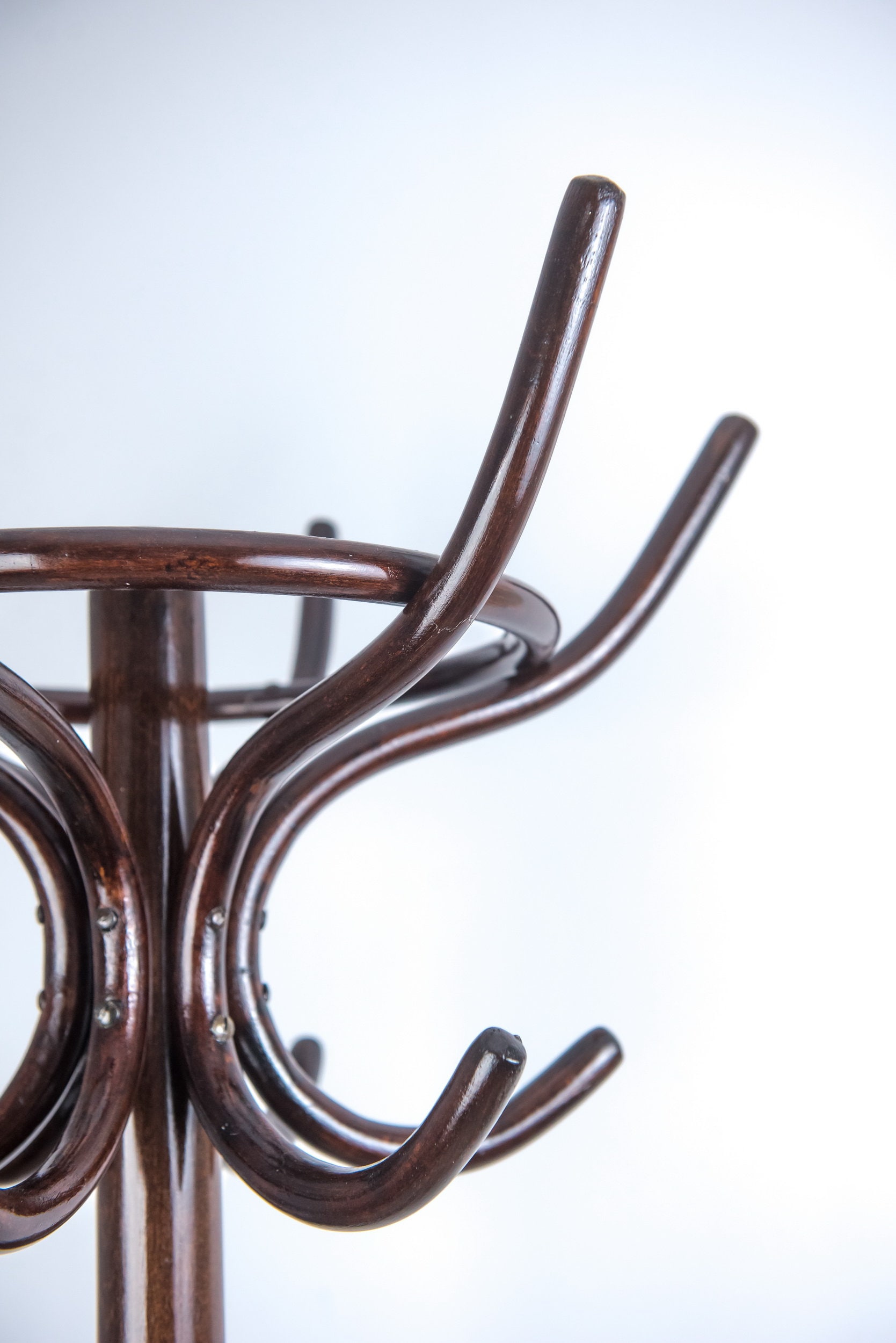 Antique Thonet Coat Rack/ Bentwood Wall Hooks/ Vintage Bent Wood Coat ...