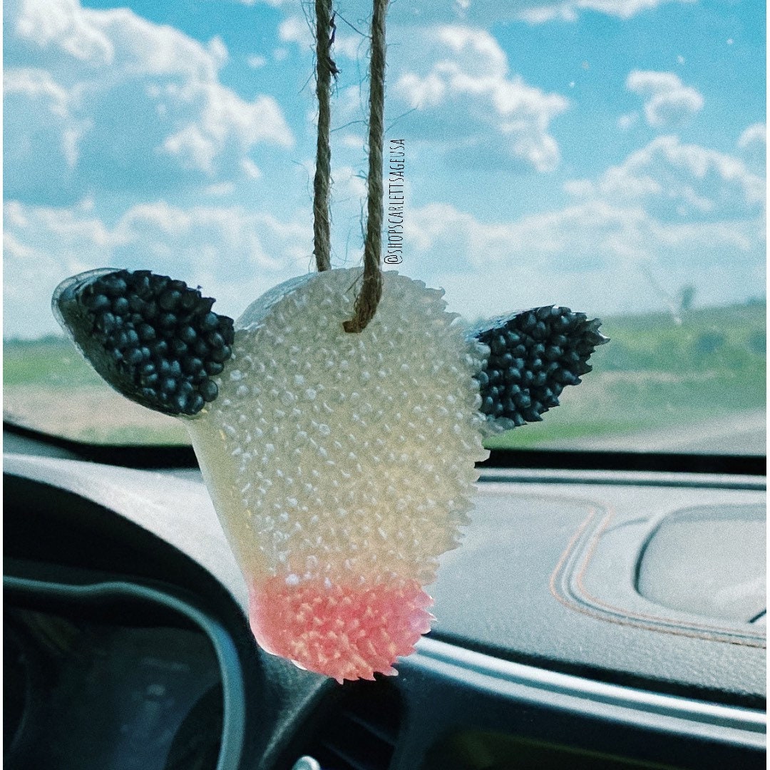 Freshies Car Air Freshener Car Accessories Car Freshy Smellies - Etsy
