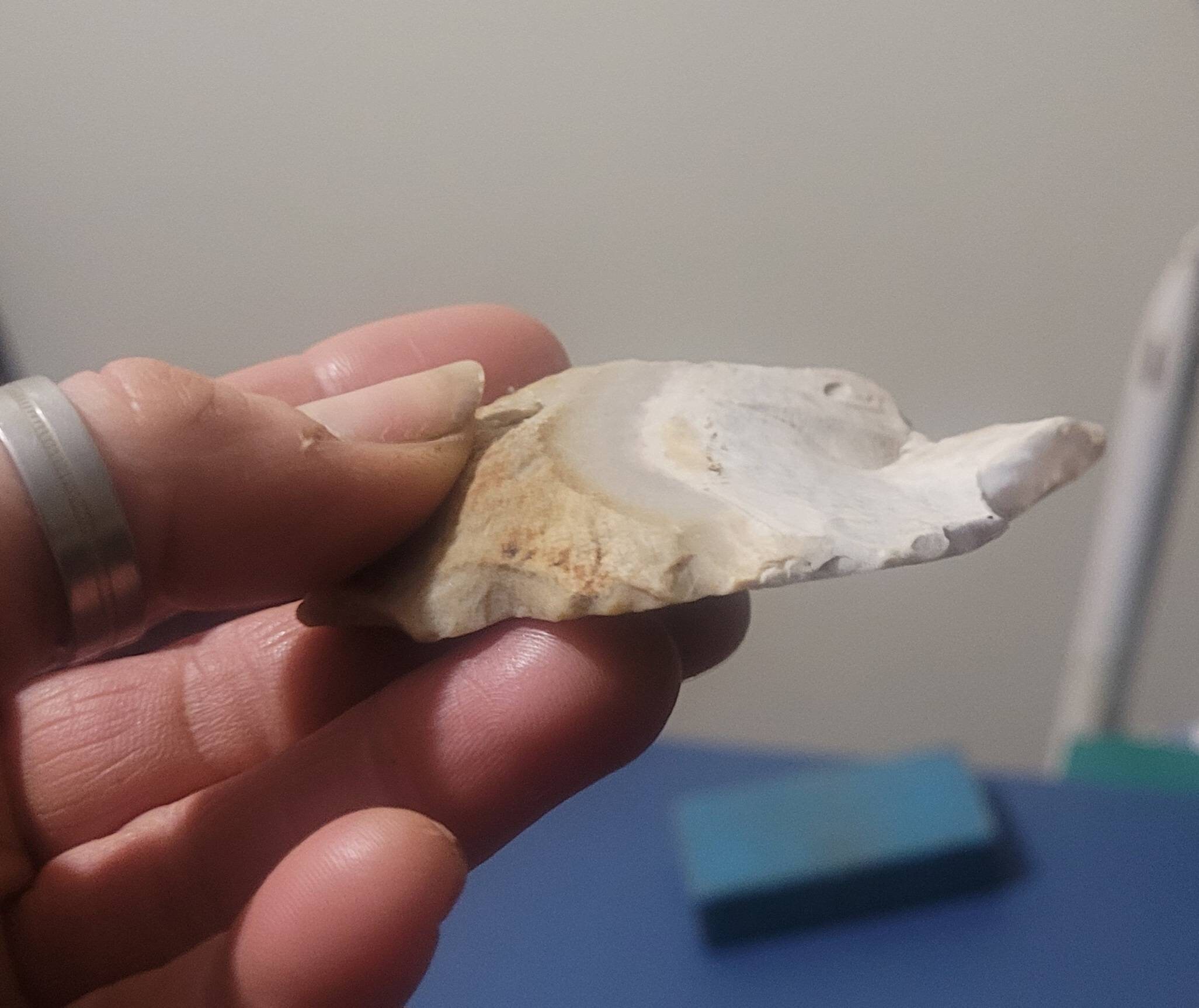 2 Native American Bird Effigy Tools - Etsy