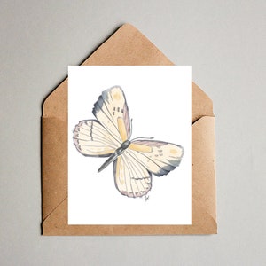 Butterfly Notecards | Blank Inside | Original Art | Greeting Card | Set ...