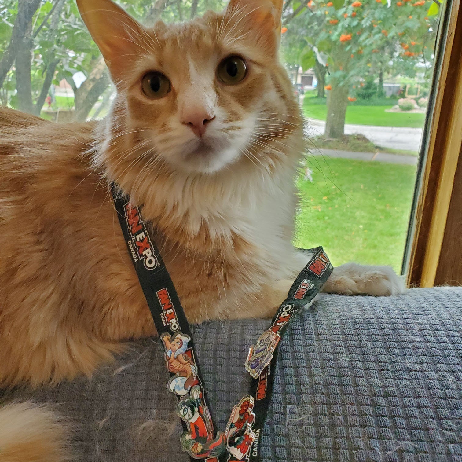 Mermaid Force Fan Made Pin Set Star Wars Pin Acrylic Pin - Etsy