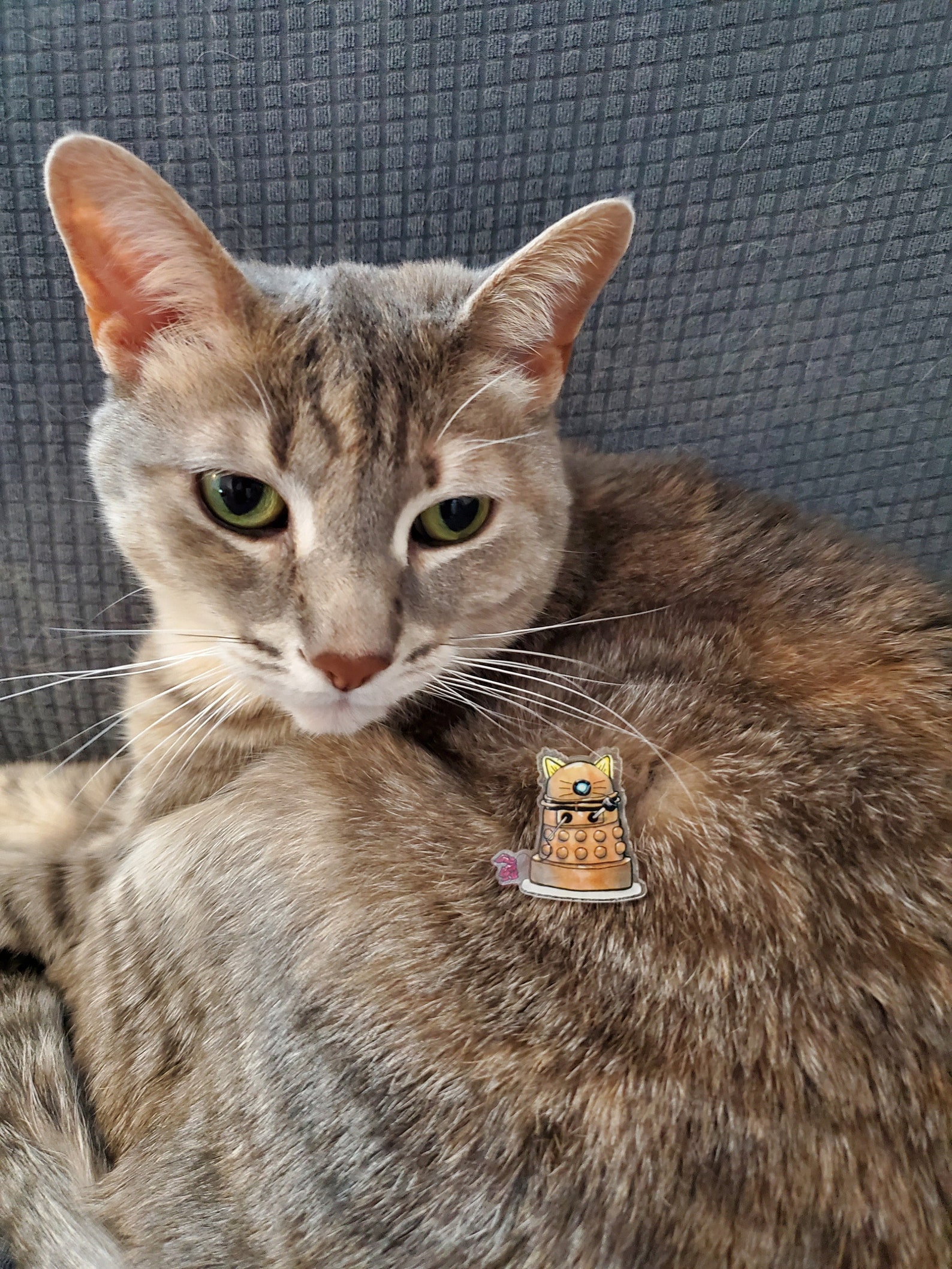 Dalkat Acrylic Pin -dalek, Cat Pin, Dalek Cat Pin, Dalek Pin, Doctor ...