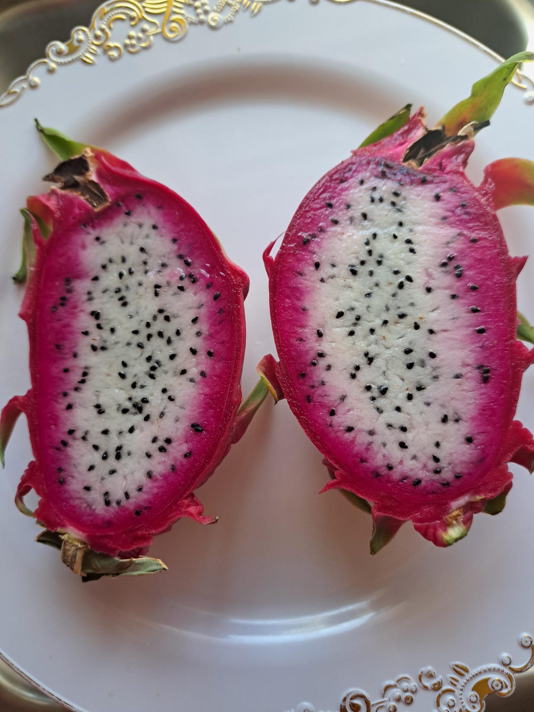 Chameleon Dragon Fruit Cutting. Two Color Flesh. - Etsy