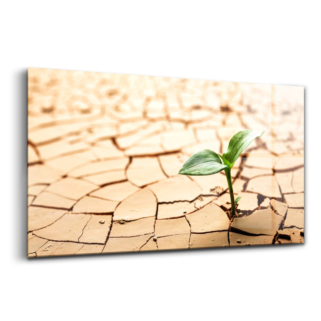 A Plant in Dried Soil Tempered Glass Print, Green Wall Art, Elegant ...