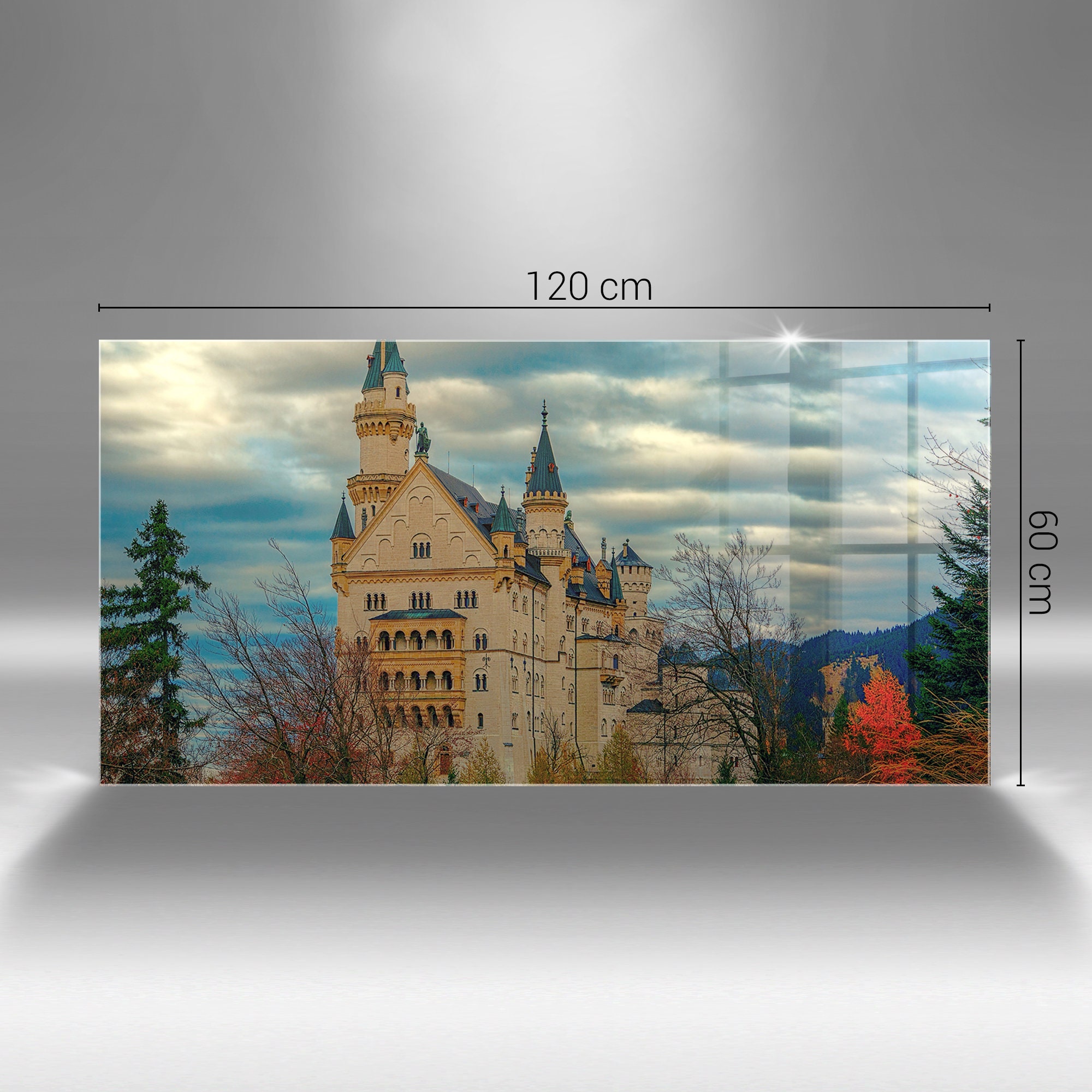 Castle in Neuschwanstein Germany Tempered Glass Print - Etsy