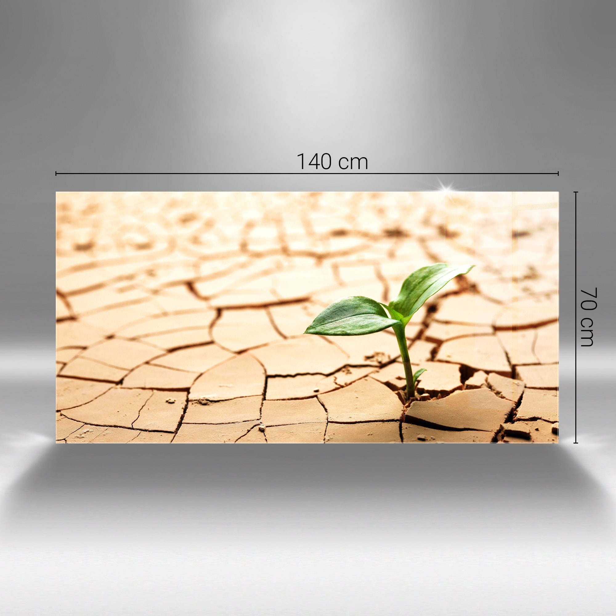 A Plant in Dried Soil Tempered Glass Print, Green Wall Art, Elegant ...