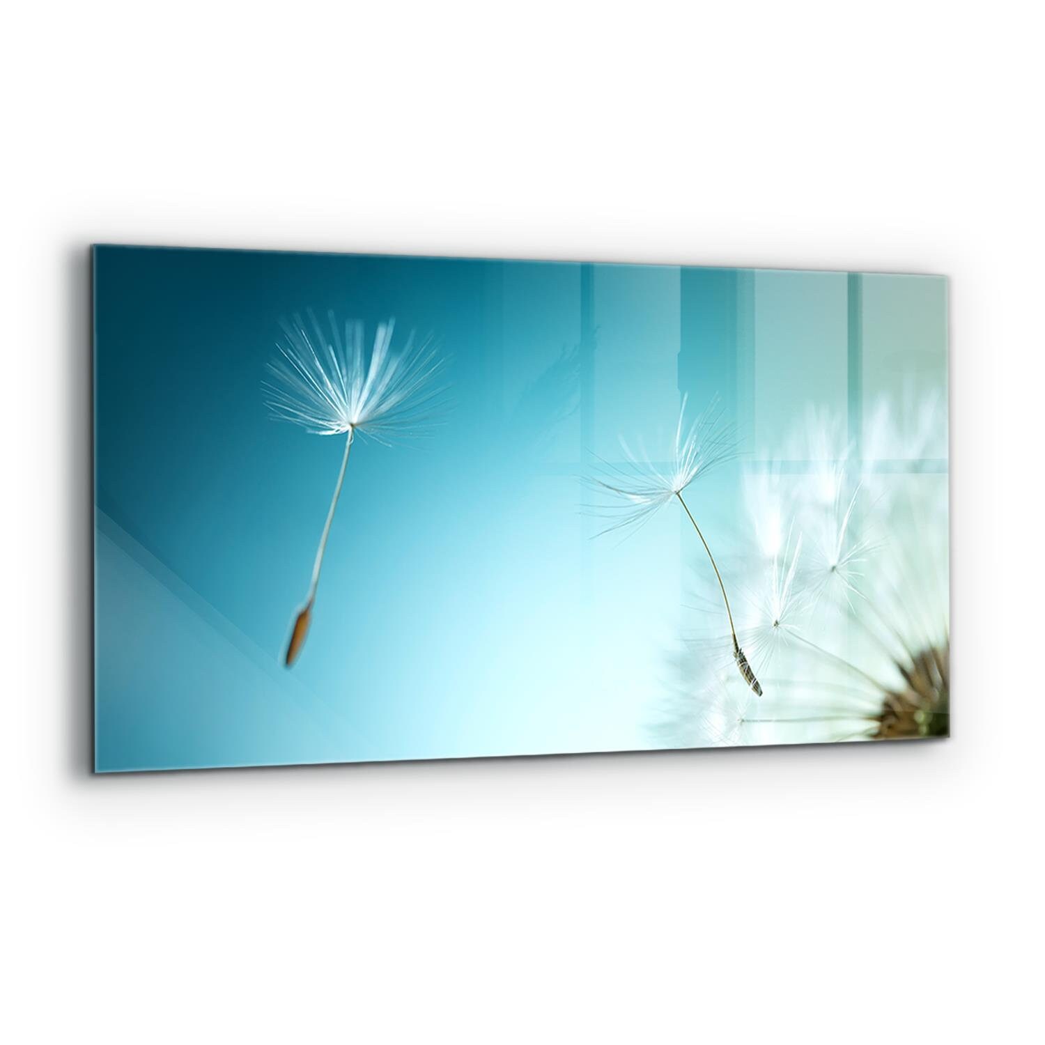 Dandelion in the Wind Blue and White Splashback, Glass Print, Wall ...