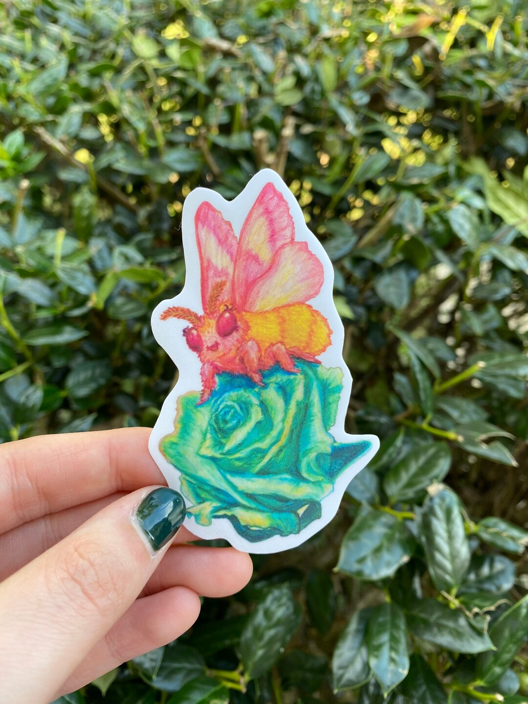 Rosy Maple Moth “rosie the Rosie Maple Moth #4” - Etsy