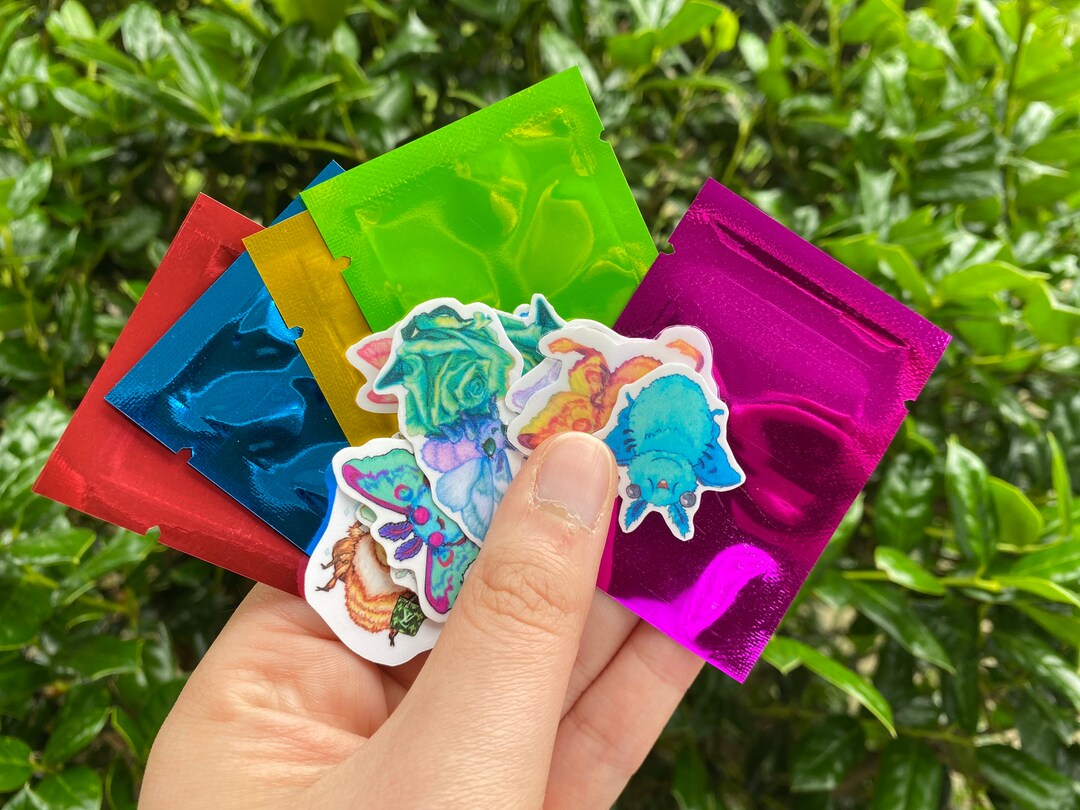 Mystery Mini Moth Sticker Pack Chonky Moth Collection Waterproof and ...