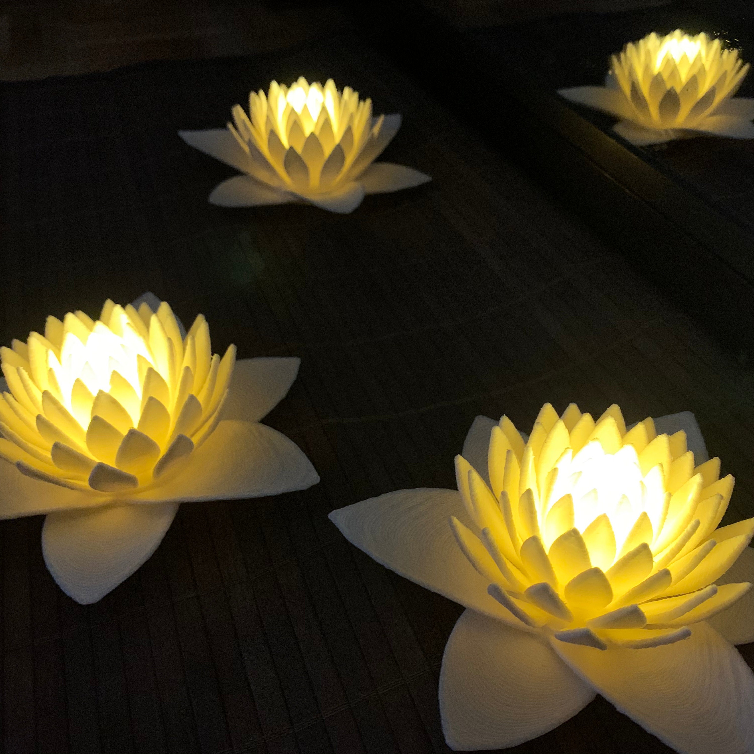 Ivory White Light Lotus PLA 3D Printed LED Light Natural Nitch Light ...
