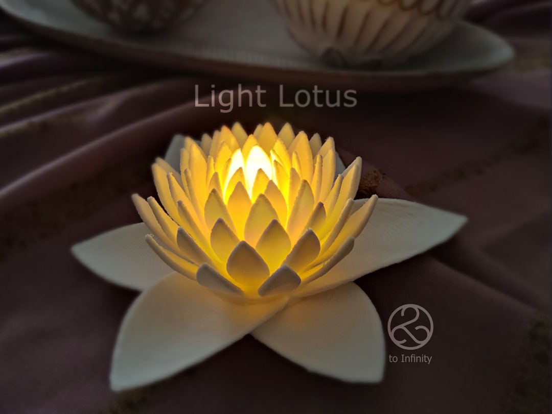 Light Lotus; a Delicate Lamp in Harmony With Nature / Luz De Loto; a ...