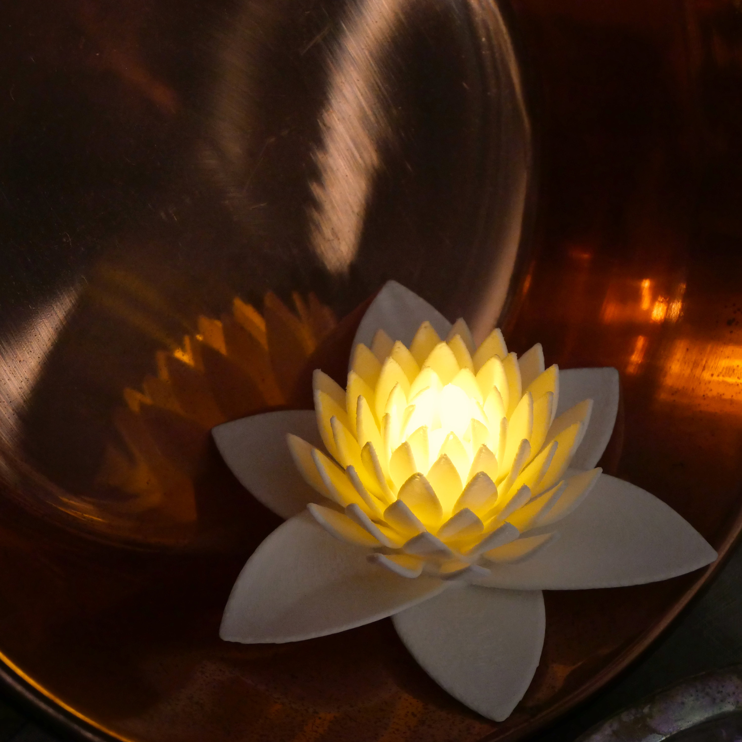 Ivory White Light Lotus PLA 3D Printed LED Light Natural Nitch Light ...