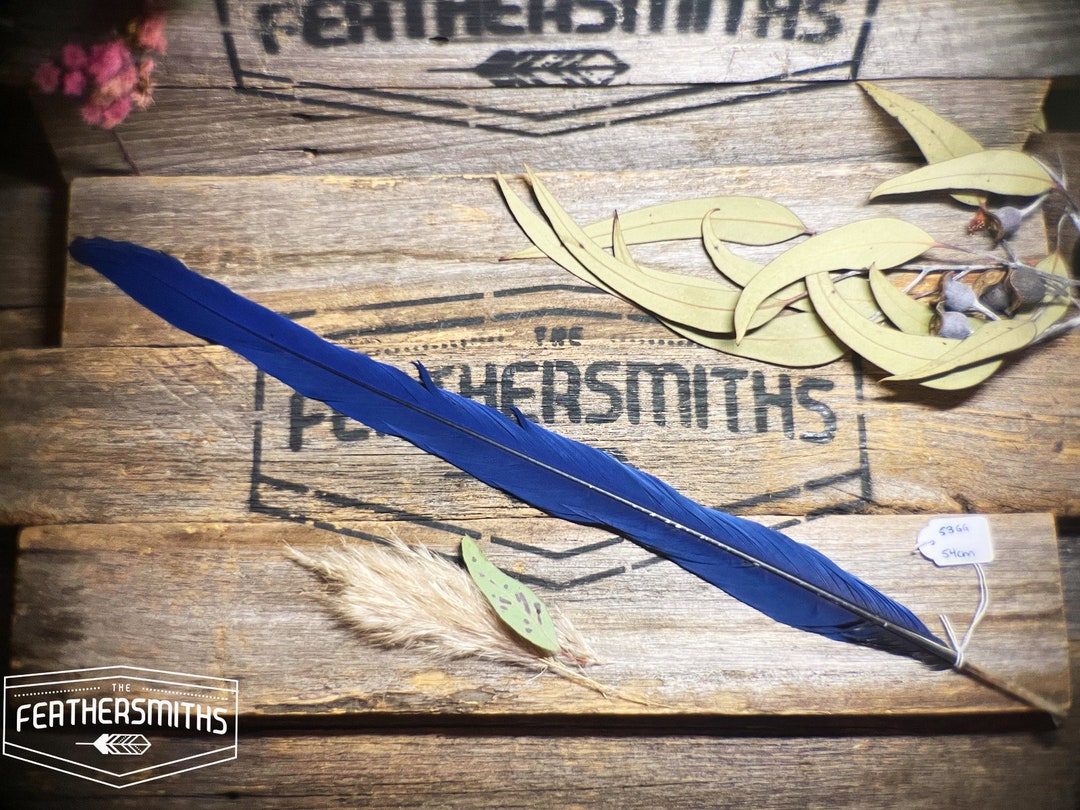 Rare Hyacinth Macaw Tail Feathers - Smudging Feathers - Boho Feather ...