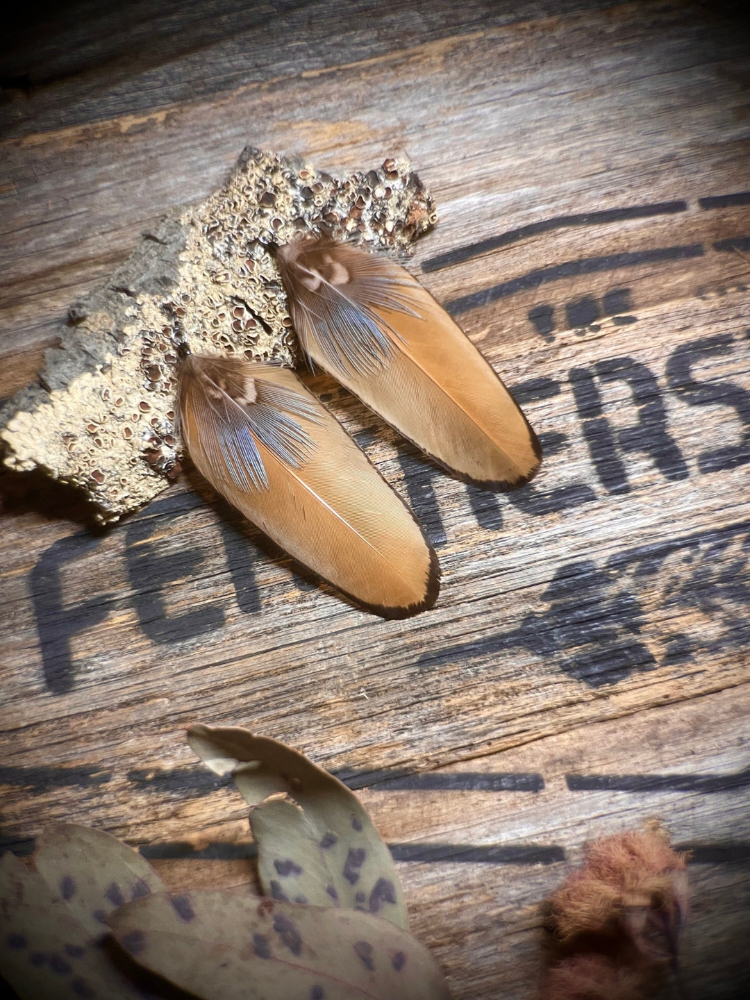 Long Pheasant Feather Earrings Beige Hen Feather Earrings Real Boho ...