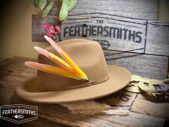 Assorted Cockatiel Hat Feathers Custom Cowboy Hat Feathers - Etsy