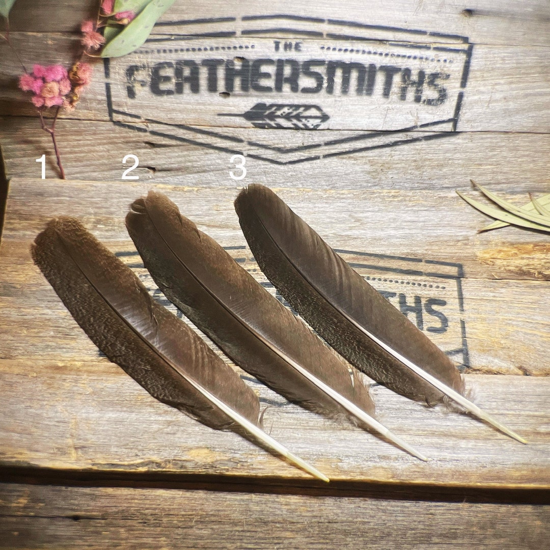 Ethical North American Turkey Feathers - Country Wedding Feather Decor ...