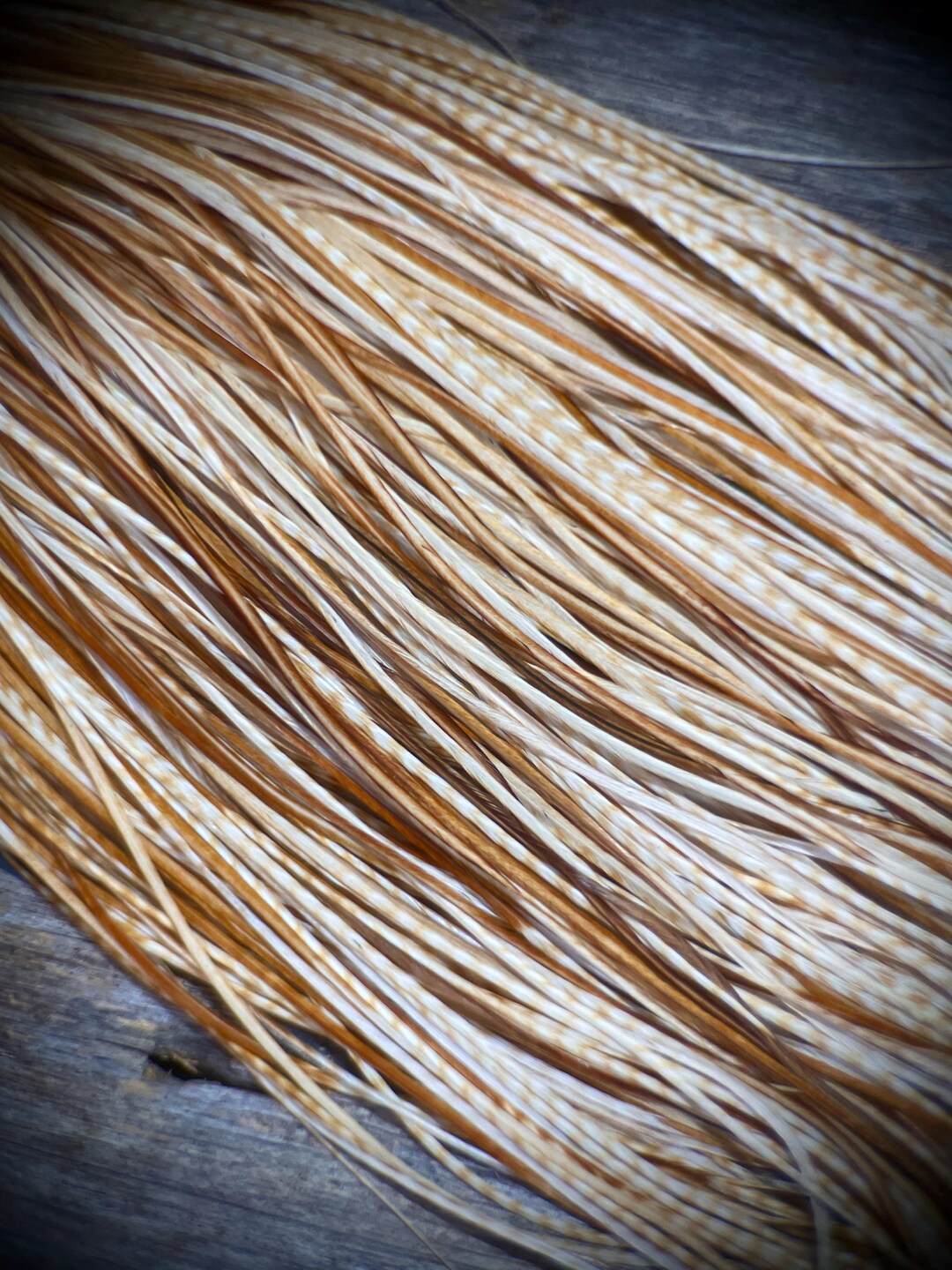Light Ginger Grizzly Rooster Feathers - Feather Hair Extensions - 5 ...