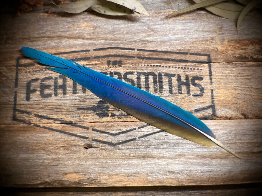 Ethical Australian Feathers - Sale Feathers - Damaged and Discounted ...