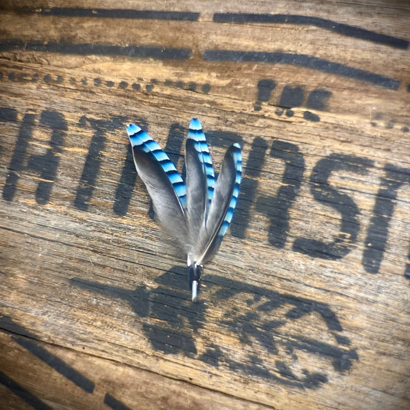 Feather Lapel Pin - Etsy