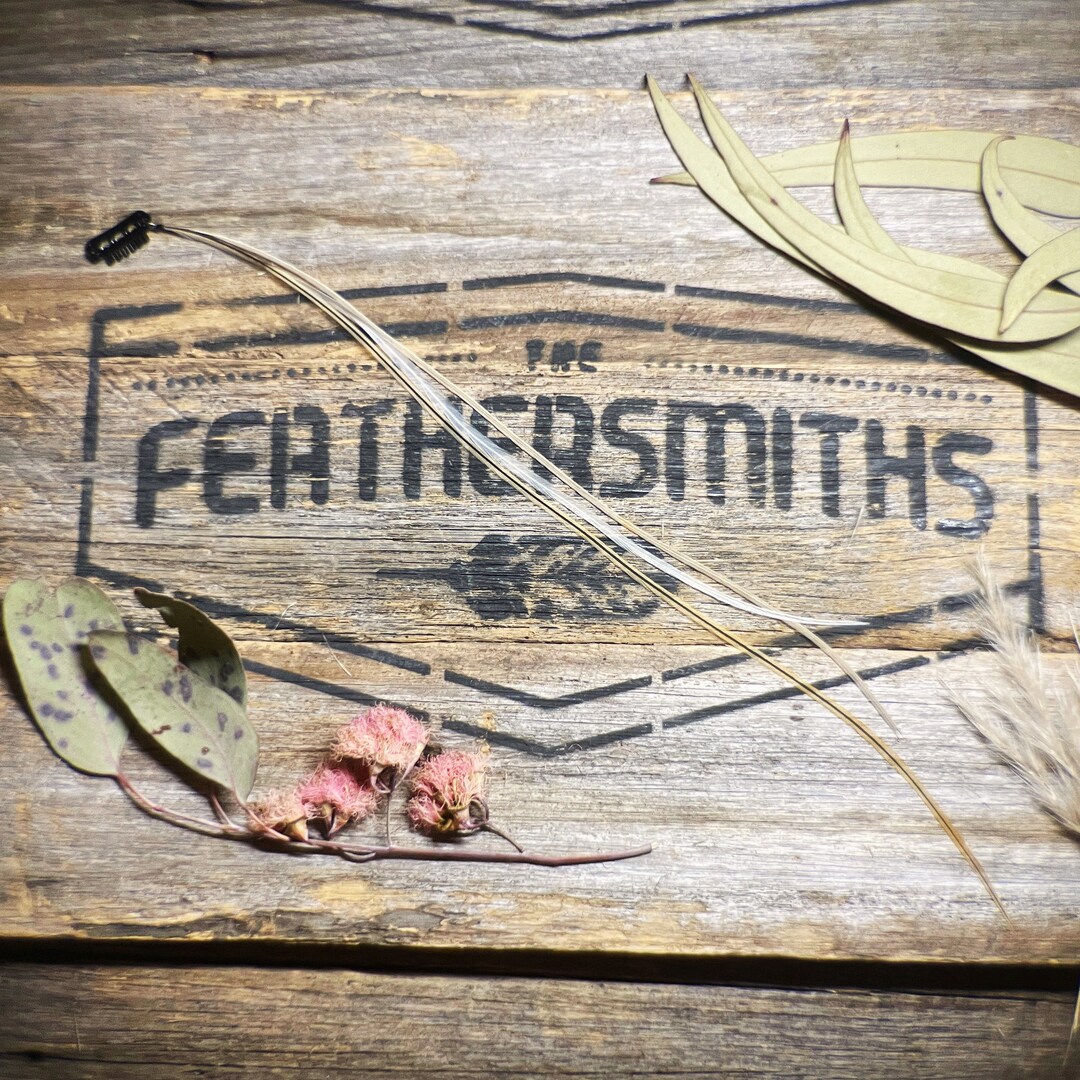 Long White Rooster Feather Hair Clips Real Feather Hair Extensions ...