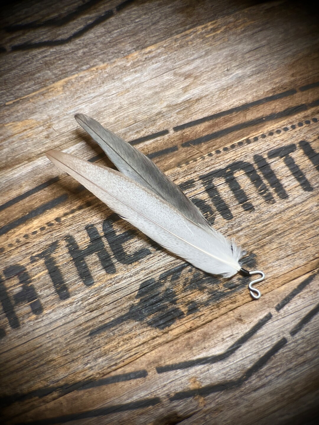 Cockatiel Cowgirl Hat Feather Custom Cowboy Hat Feathers Country ...