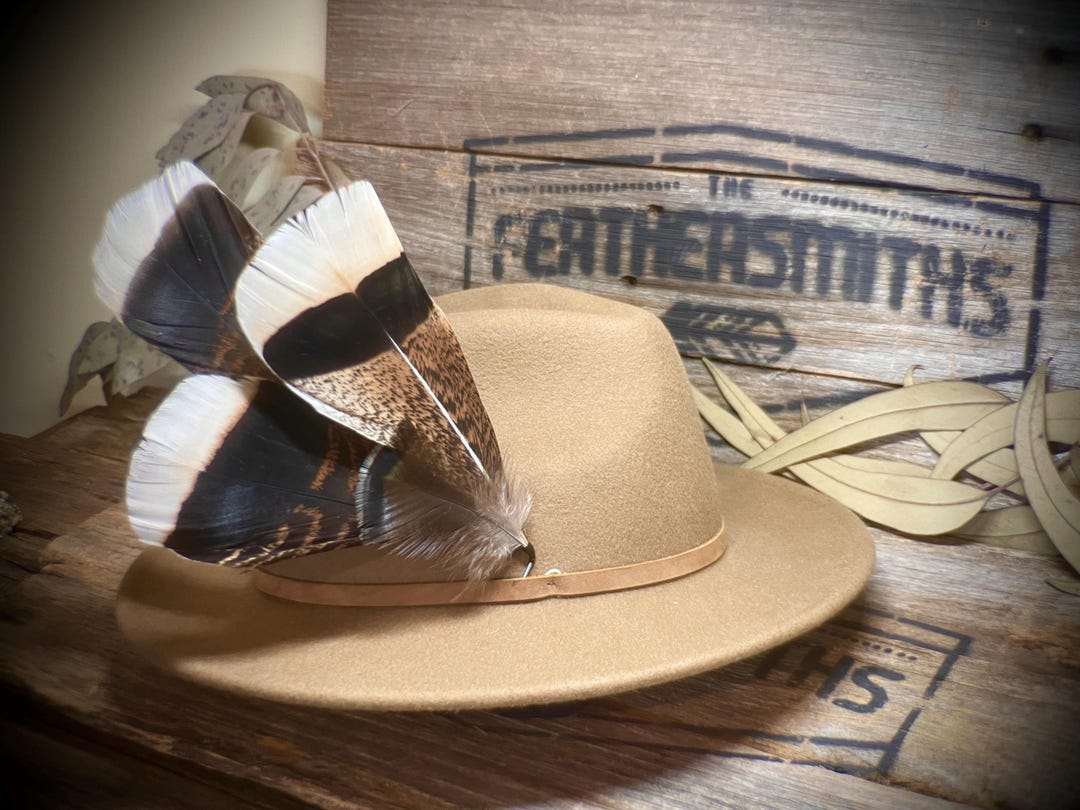 Ethical North American Turkey Hat Feather - Custom Cowboy Hat Feather ...