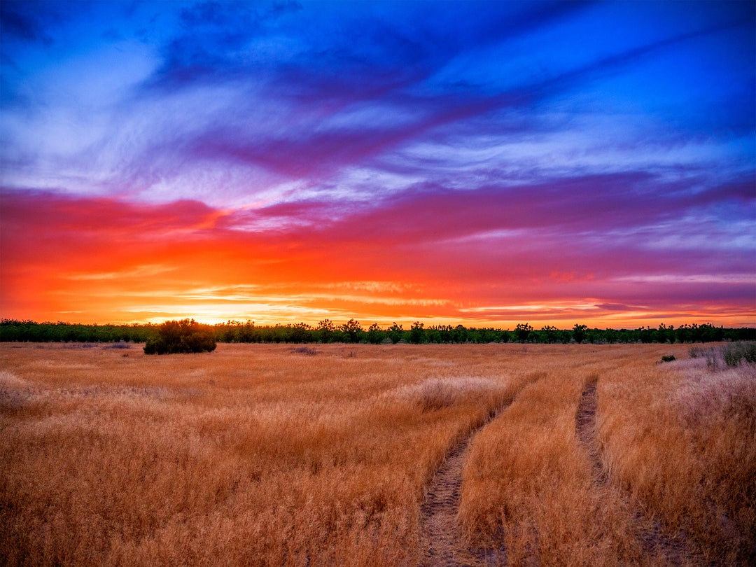 Rainbow Colored Sunset in a Field Metallic Photo Print - Southern New ...