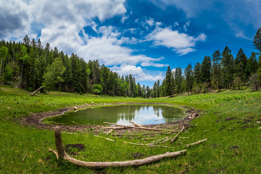 Mountain pond in Cloudcroft New Mexico Lincoln National - Etsy España