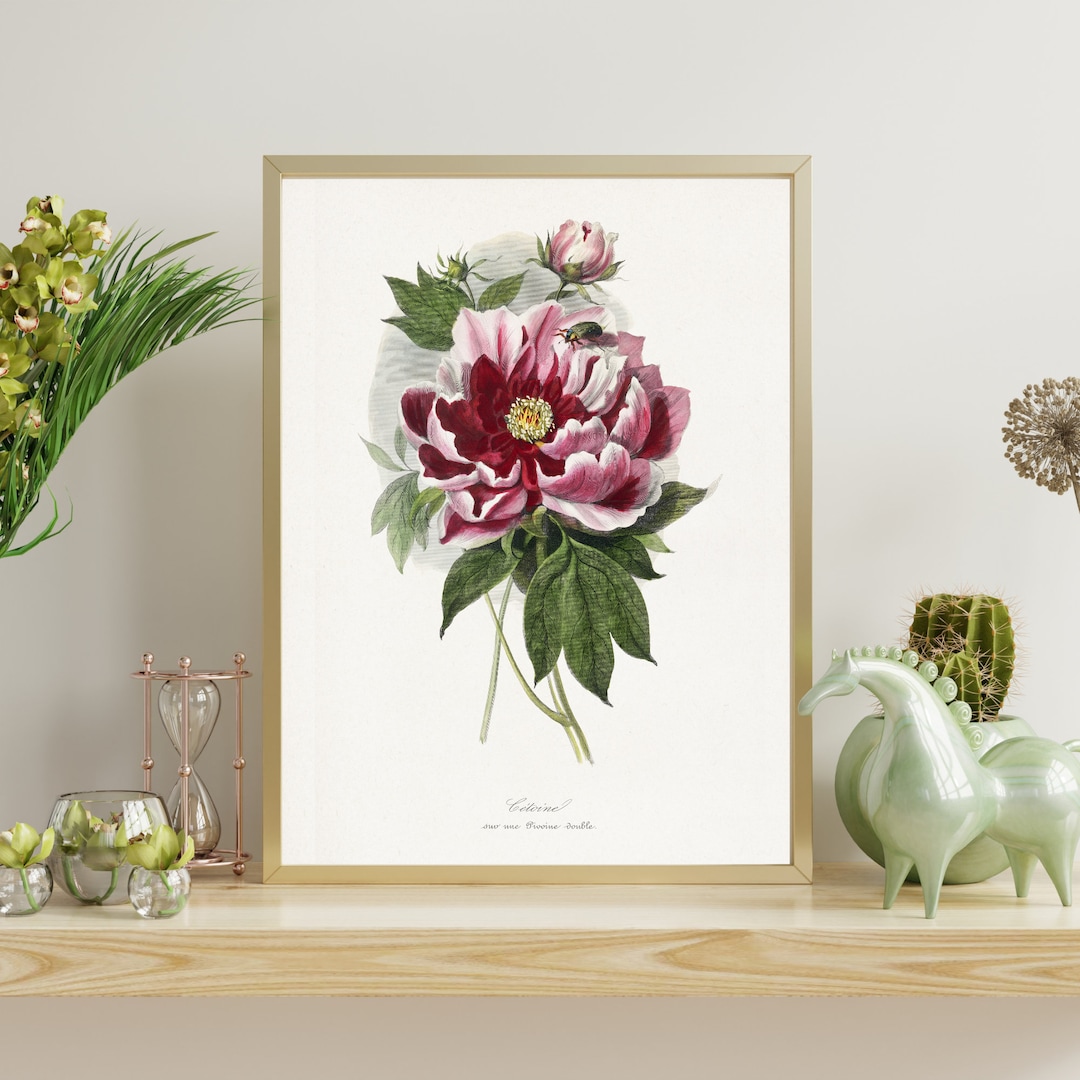 Floral Poster to Download, Peony Flower Wall Decoration, Floral Poster ...