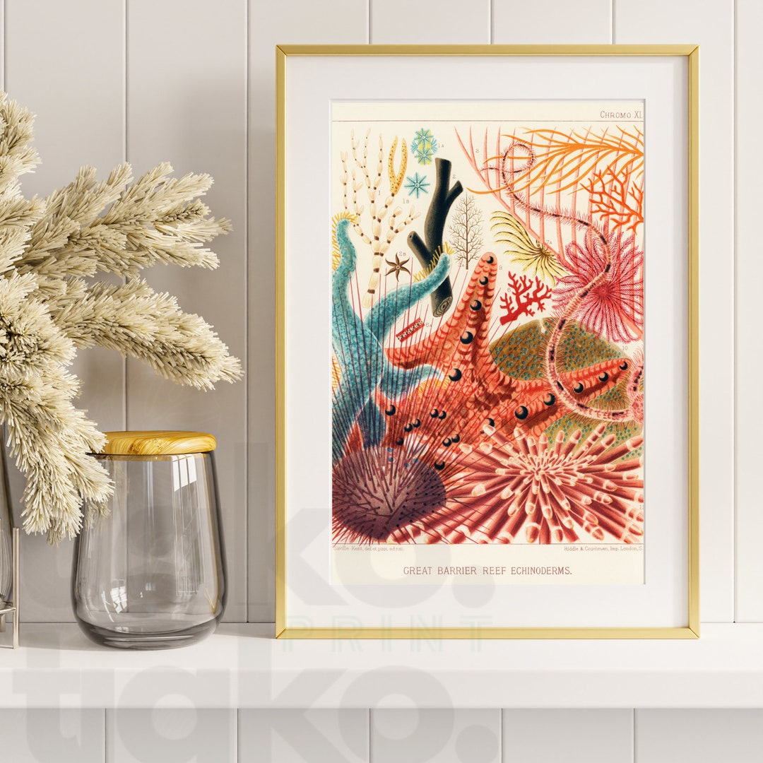 HD Printable Poster Australian Coral Reef, Printable Coral Poster ...