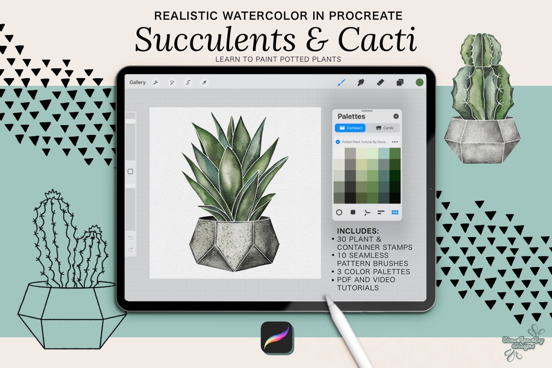 Realistic Watercolor Procreate Tutorial, Succulents & Cacti Procreate Stamps, Drawing Video and ...