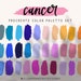 3 Procreate Color Palettes, Cancer Aesthetic, Sunset Colors, Procreate ...