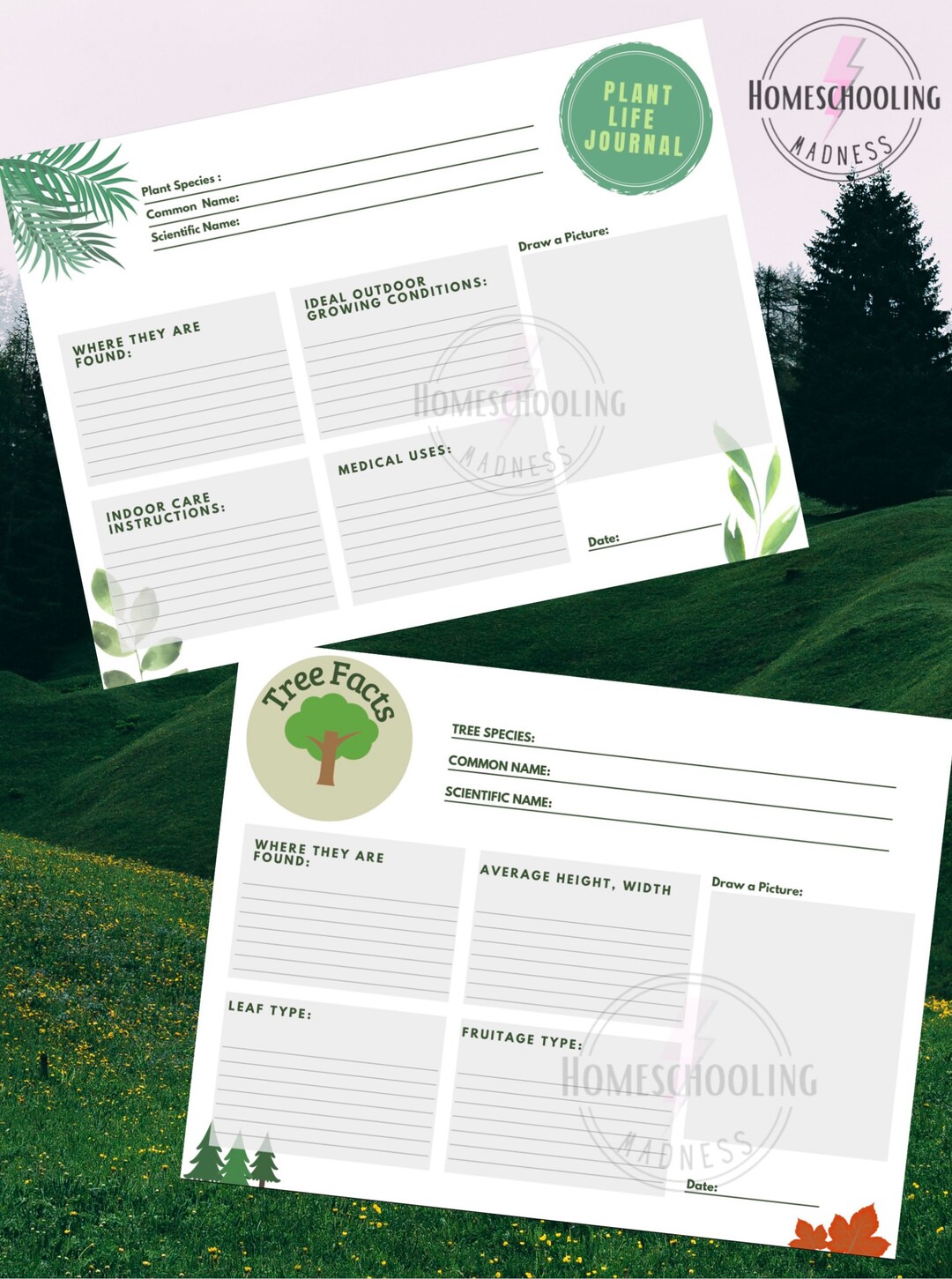 Homeschooling Templates Plant Life & Trees - Etsy