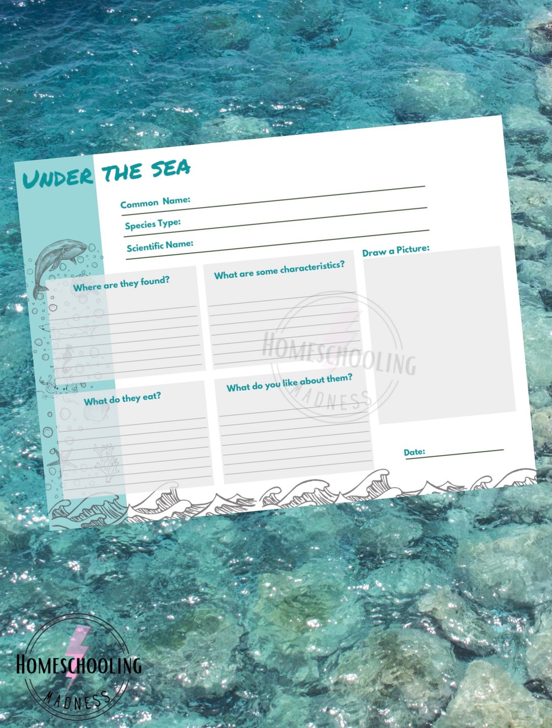 Homeschooling Templates Under the Sea Ocean Life Template - Etsy