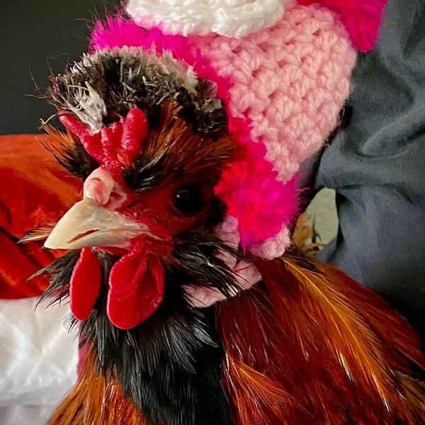 Chicken Hats - Etsy