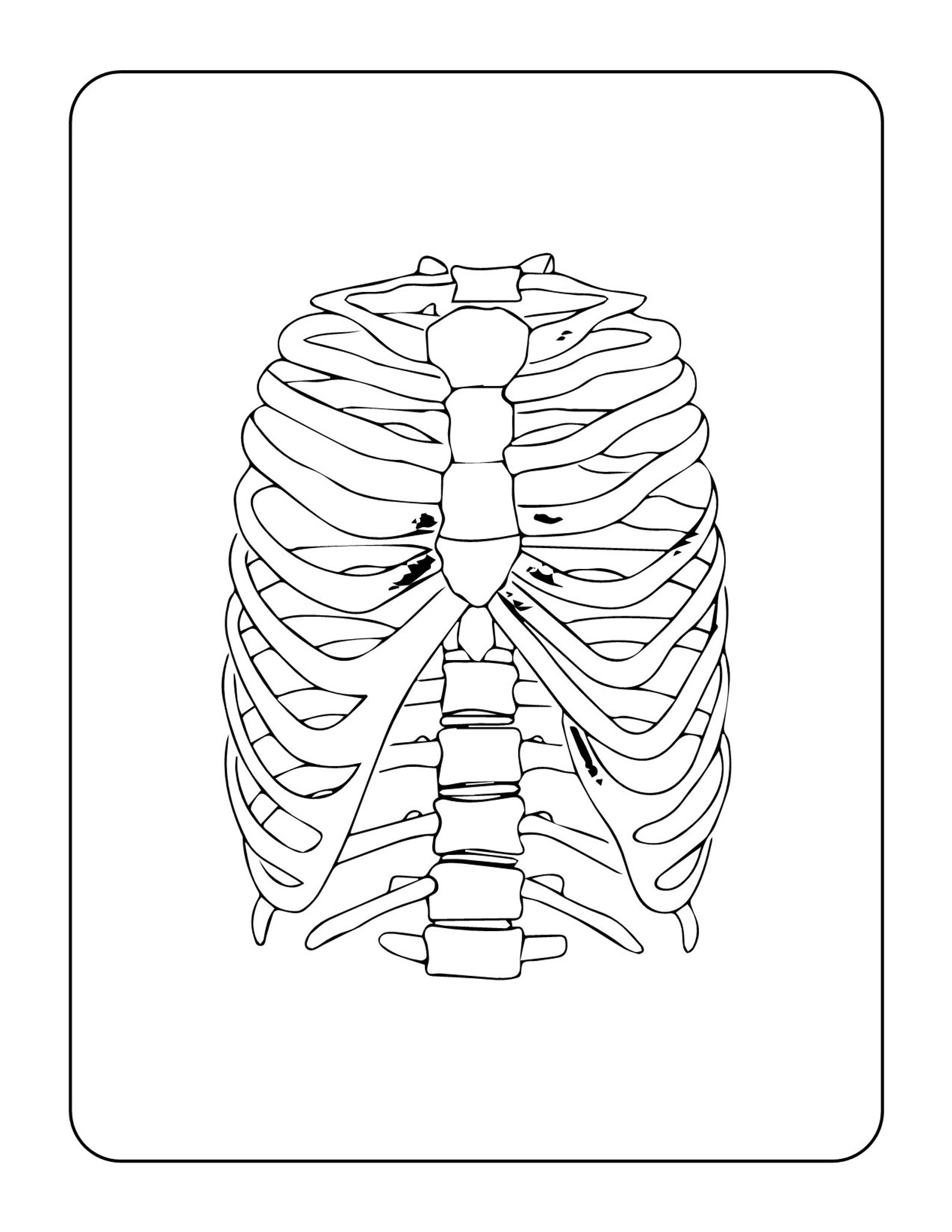 Human Body Coloring Page Sheets My XXX Hot Girl human-body-coloring-page-sheets-my-xxx-hot-girl