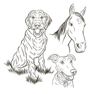 Custom Line Drawing Dog Portrait, Custom Line Art, Dog Portrait, Pet ...