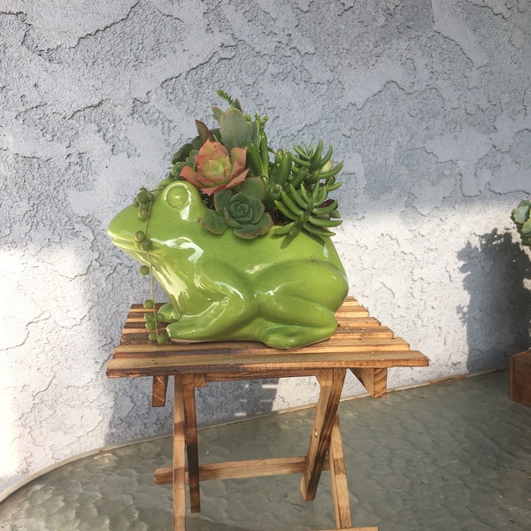 Frog Planter - Etsy
