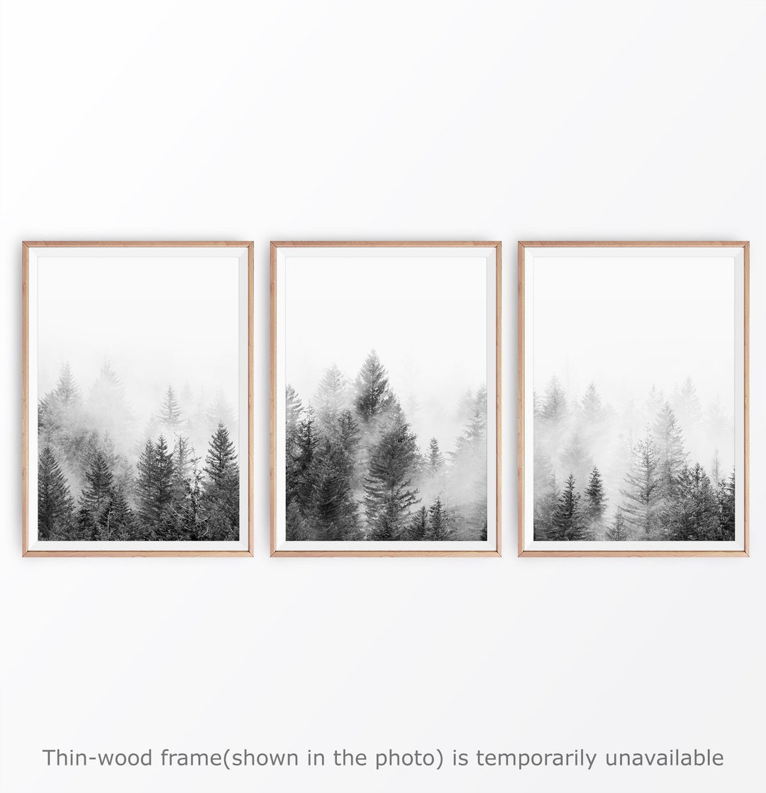Black White Forest Pine Trees Poster Forest Set 3 Prints Fog - Etsy