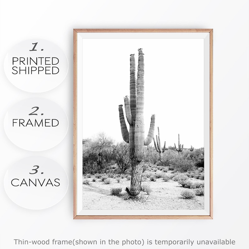 Cactus Poster - Etsy
