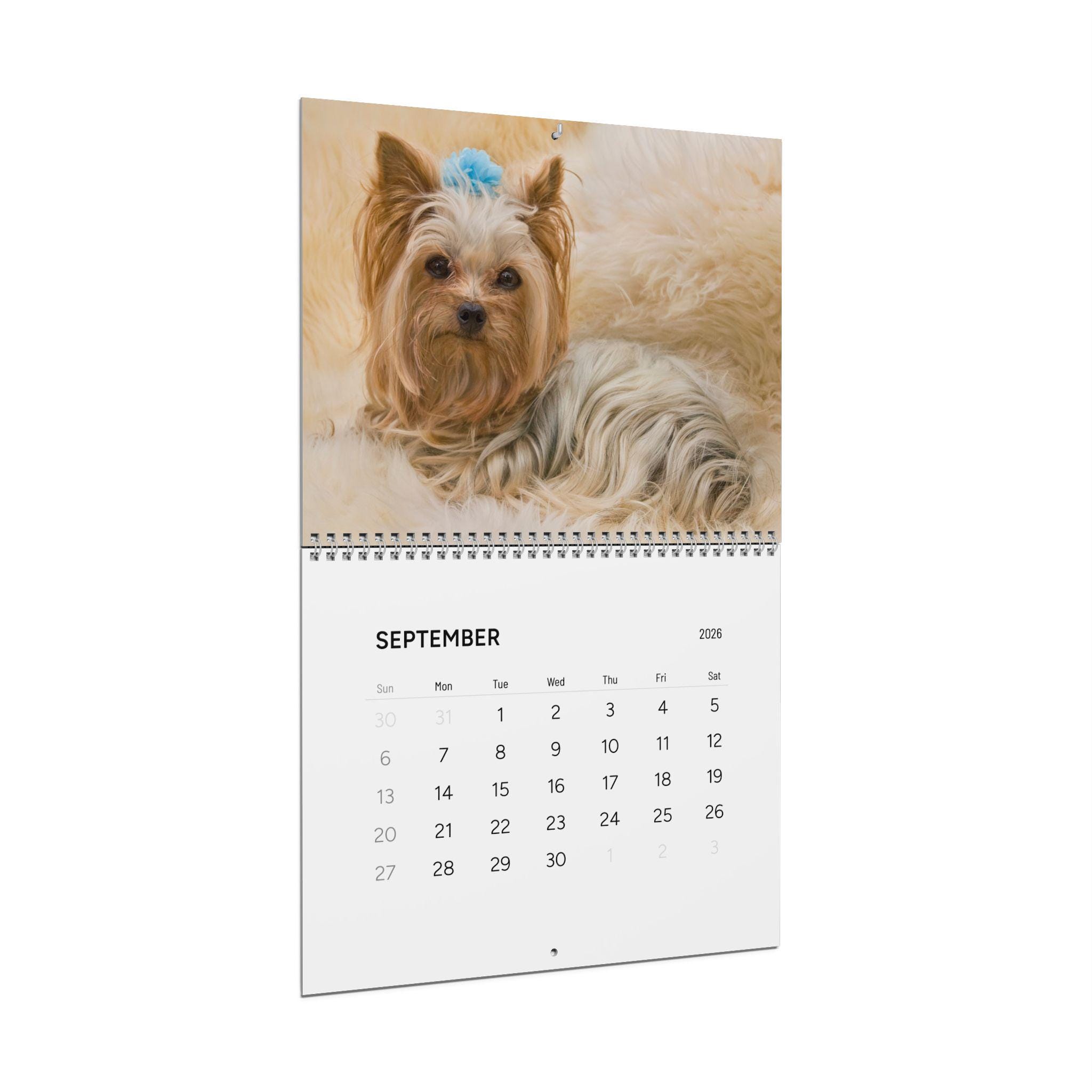 Yorkshire Terrier Photo Wall Calendar 2026 | Dog Portrait Calendar, Pet ...