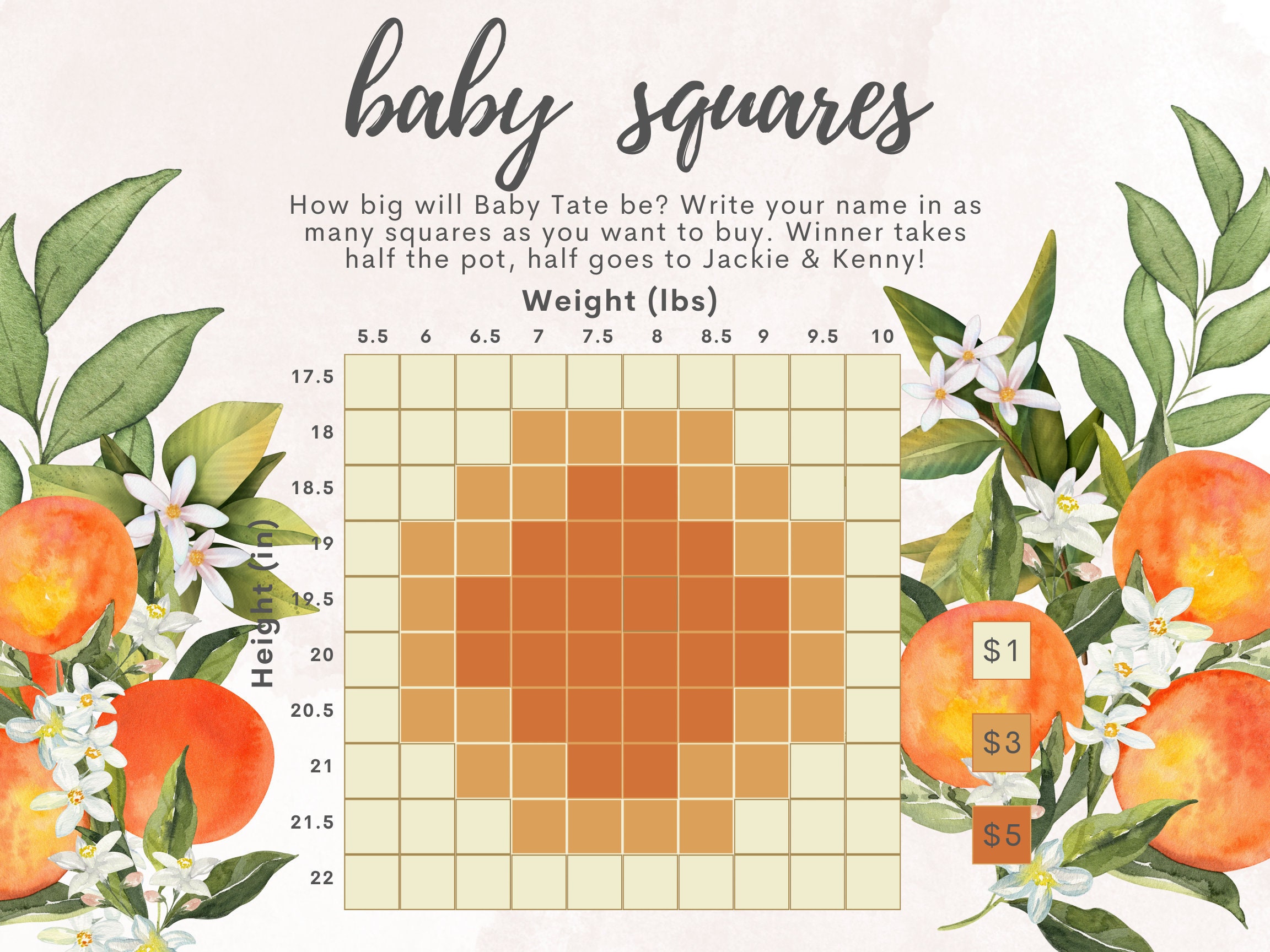 Little Cutie Weight/height Guessing Game - Etsy
