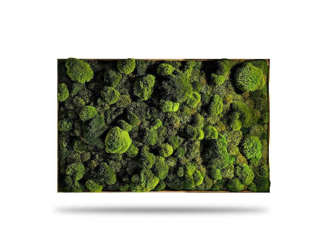 Moss Picture Provence Mix | Natural Art for Dental Practices ...