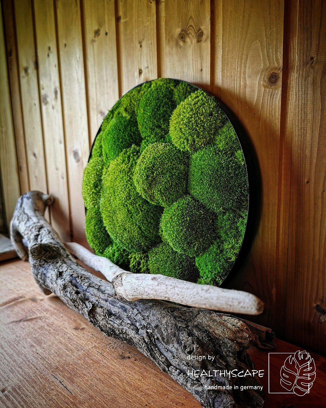 Moosbild Rund Kugelmoose Wandkunst Mooswand Wandbild Ø 30-100cm ...