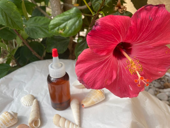 100% Haitian Black Castor Oil palma Christi / Maskreti - Etsy