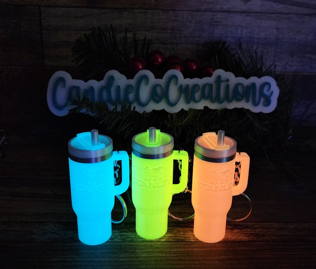 Mini GLOW in THE DARK Stanley Inspired Tumbler Keychain, With Storage ...