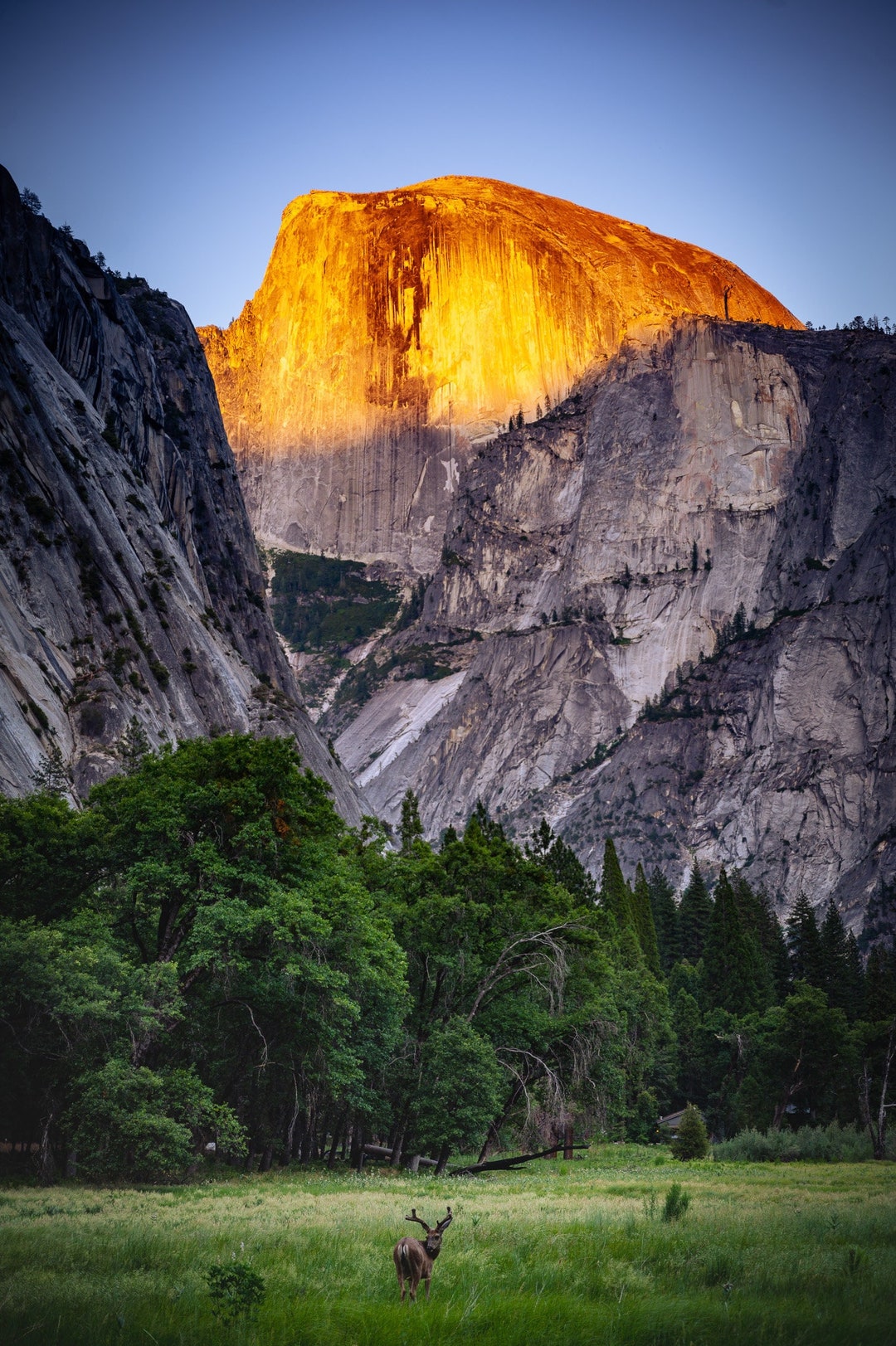 11 X14 Print of Sunset in Yosemite - Etsy