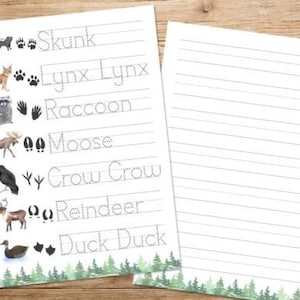 Learn About Animal Tracks Using This Winter Animal Tracks Unit Study ...